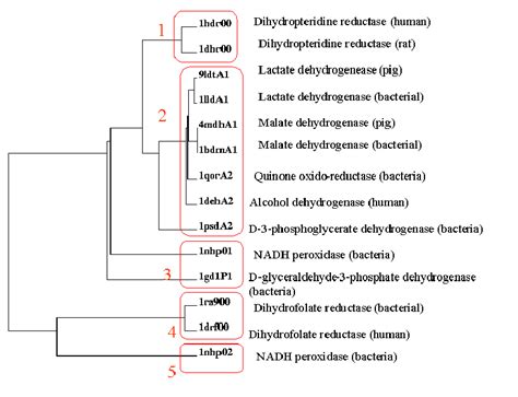 dendrogram of pairwise comparisons annotated by discovered groups