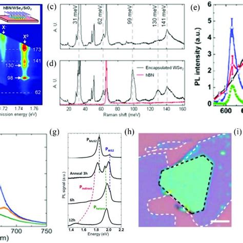 A B Ple Intensity Plots Of Wse2 Sio2 And Hbn Wse2 Sio2 [76] C Download Scientific Diagram