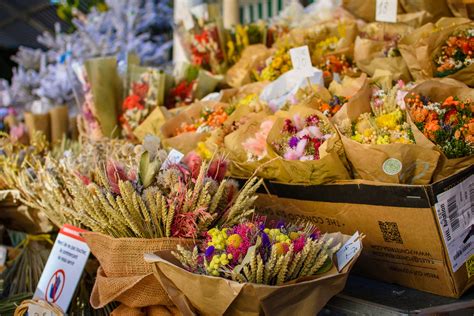 Ница дълъг уикенд на Лазурния бряг