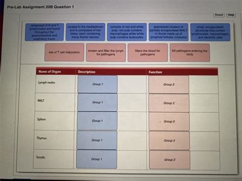 solved pre lab assignment 20b question 1 reset help composed