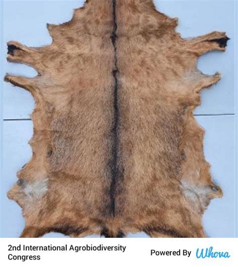 Eatgrowsave Agrobiocongress Mansur Muhammad