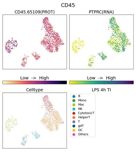 Cd45 Antibody G65109 1 5c Proteintech