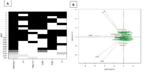 All Subsets Regression Plot A And Genotype By Trait Biplot Showing