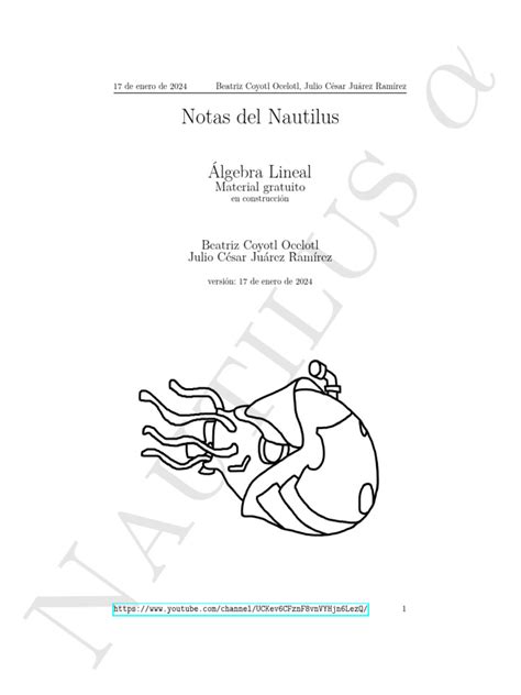 Álgebra Lineal Pdf Ecuaciones Sistema De Ecuaciones Lineales