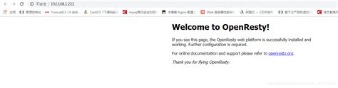Nginxlua脚本redis 实现自动封禁访问频率过高ipnginx Lua 每次请求 Redis 统计 Csdn博客