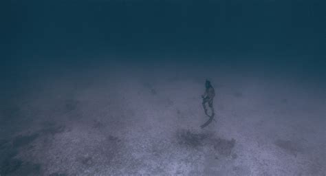 Maripipi Turismo Qué Visitar En Maripipi Visayas Oriental 2025 Viaja Con Expedia