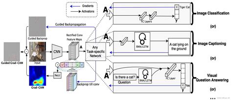 Grad Cam：visual Explanations From Deep Networks Via Gradient Based