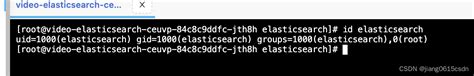 Kubernetes集群上部署的elasticsearch服务运行报错：for Complete Error Detailslinux安装