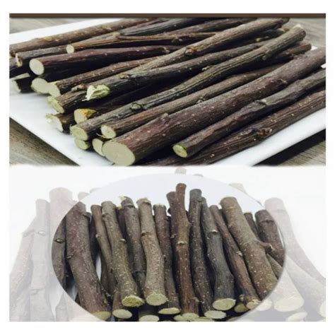 鸚鵡啃咬玩具 天然蘋果木樹枝（以支計價） 磨牙玩具 鼠 兔子 黃金鼠 蝦皮購物