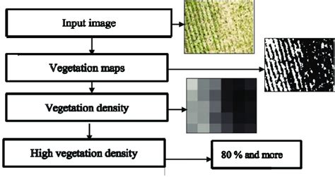 algorithm for assessing the quality of seedlings of agricultural crops