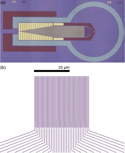 Absolute Efficiency And Dark Counts For Element 9 Of The Snspd As A