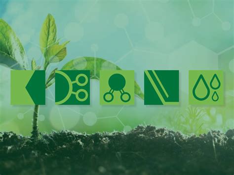 Dynamic Sorption Breakthrough Curve Measurement Mixsorb Dynasorb Bt Breakthrough Curve