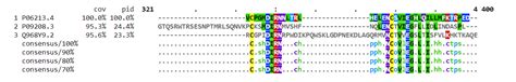 Multiple Sequence Alignment Rbioinformatics