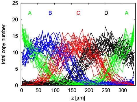 Spatial Pattern Of Gene Expression Snapshots Of The Total Copy Numbers Download Scientific
