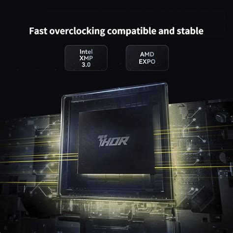 Lexar Lexar RAMs Memory Ram DDR5 16GB 6000Mhz Gaming Overclocking Memory Stick For Desktop