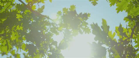 Specials Cahaba Dermatology And Spa