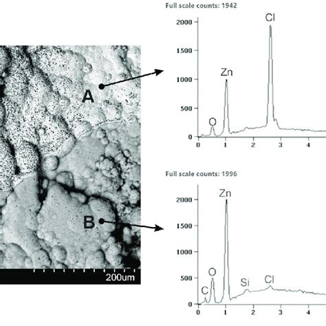 Sem Images And Corresponding Eds Patterns Of The Corroded Zams Coating