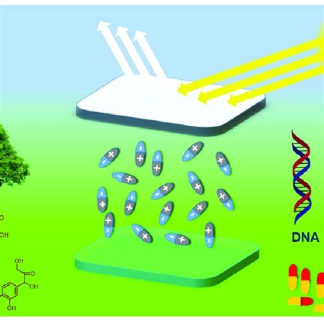 Electroluminescence Performances Of Oled Devices Using Biological Download Scientific Diagram