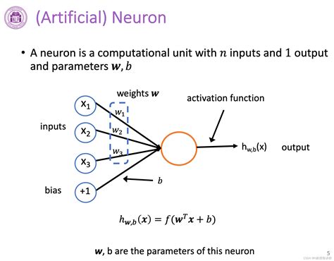 [学习笔记]刘知远团队大模型技术与交叉应用l2 neural network basics 单层神经元网络有多个输入和多个输出 csdn博客
