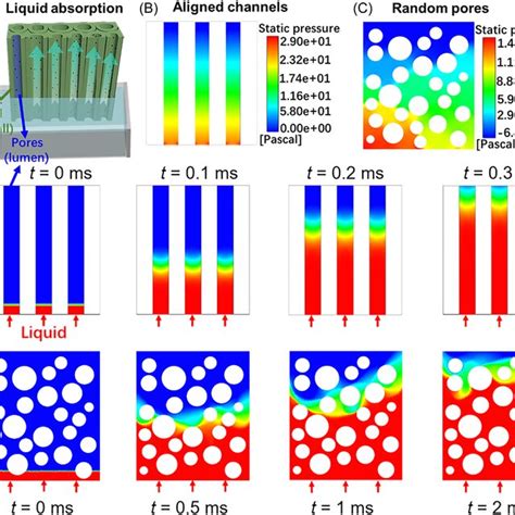 Theoretical Simulation Ansys Fluent Of Flow Resistance And Absorption