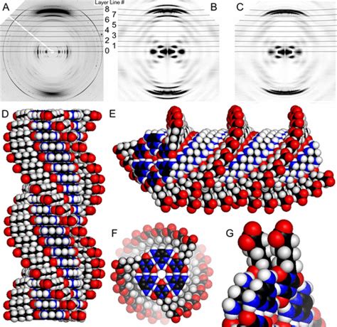 X Ray Diffraction Pattern Dna