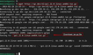 How To Install Go Golang On Debian Linux Genie