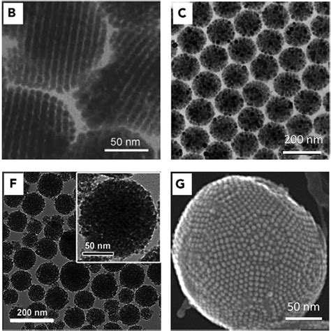 Pdf Surfactant Assisted Cooperative Self Assembly Of Nanoparticles Into Active Nanostructures
