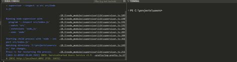 Hide Path In Debug Console Issue Microsoft Vscode GitHub