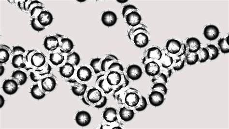 Cryptographic Bill Of Materials Speeds Quantum Safe Adoption Ibm Research