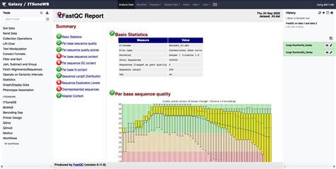 Biomas Galaxy — Itsonewb 100 Documentation