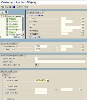 SAP E Mory SAP FBL N Customer Line Item Display