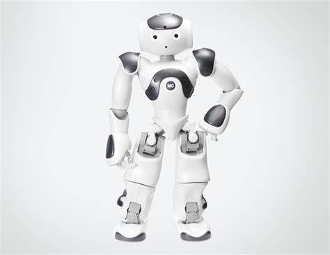Solution Softbank Robotics Group Corp
