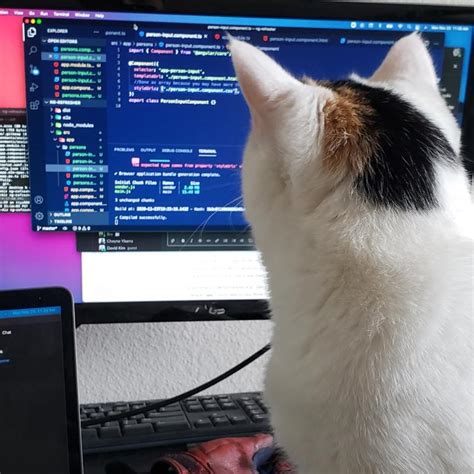 Matt Mullis On Linkedin Javascript 100daysofcode