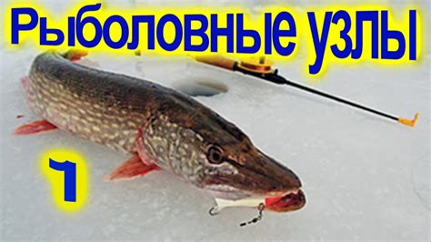 Рыболовные узлы , основныe методы вязания крючков #рыбалка1 - YouTube