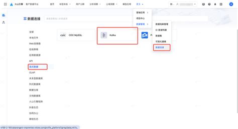 Kafka数据接入 客户数据平台 火山引擎