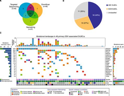 Mutational Landscape A Venn Diagram Illustrating Number Of Samples Download Scientific Diagram