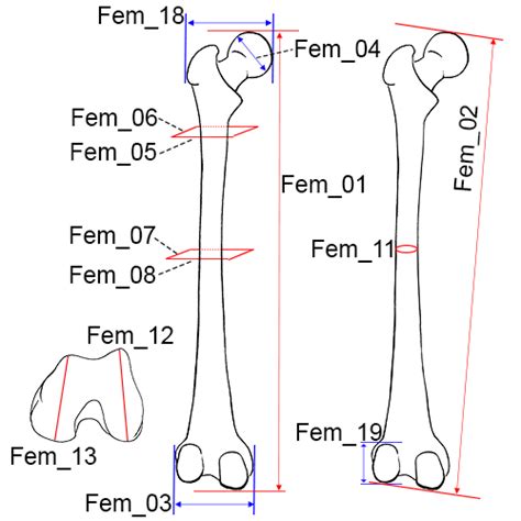 Measurements Cora Docs