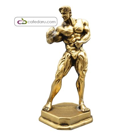 اکشن فیگور بدنسازی مدل فیگور جلو بازو S کافه دارو داروخانه آنلاین