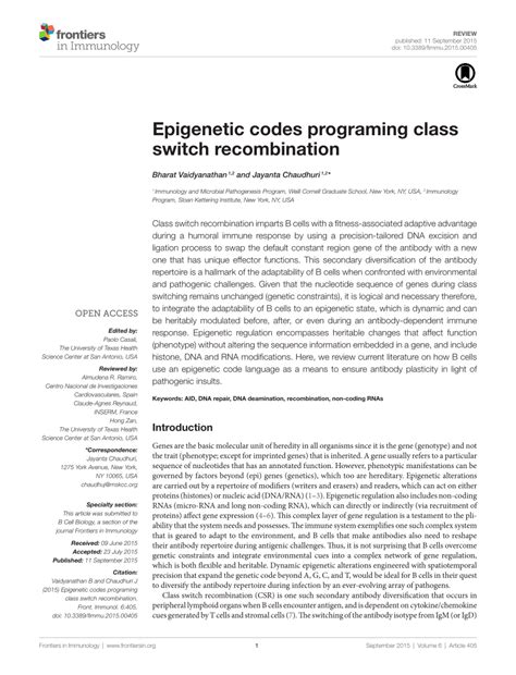 Pdf Epigenetic Codes Programing Class Switch Recombination Pdf Epigenetic Codes Programing Class Switch Recombination