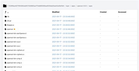 Analysing Docker Images In The Cado Platform