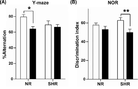 Y Maze And Novel Object Recognition Test Y Maze And Novel Object