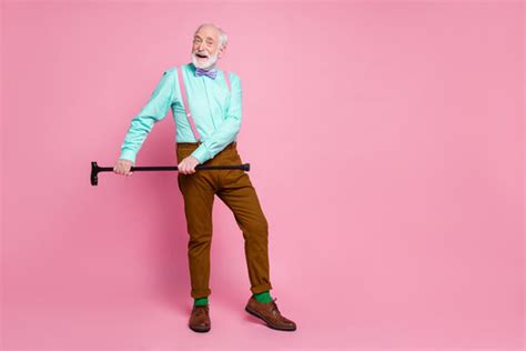 Phasmatodea Bilder Durchsuchen 26125 Archivfotos Vektorgrafiken Und