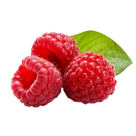 Raspberry Pngs For Free Download