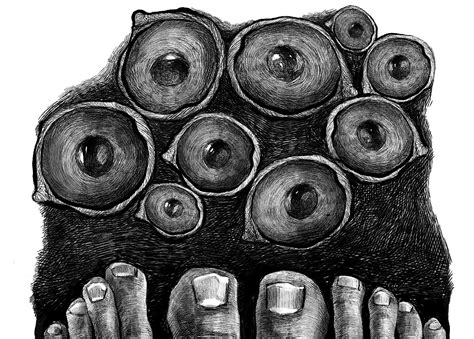 变形记3 丝瓜啷子 站酷zcool