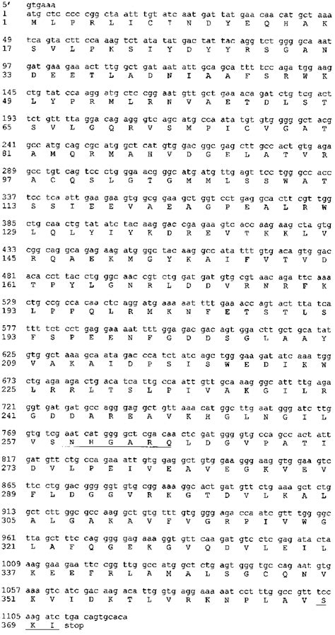Cdna Sequence Of Human Glycolate Oxidase Genbank Af244134 The Download Scientific Diagram