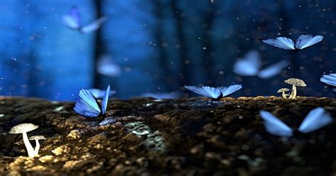 Practice Question Of Sets 1