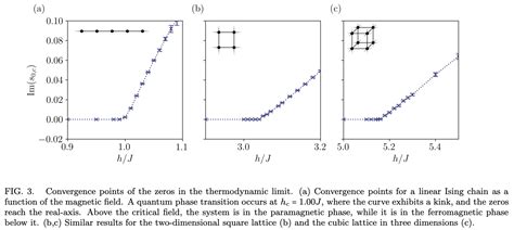 Lee Yang Theory Of Quantum Phase Transitions With Neural Network Quantum States Issue