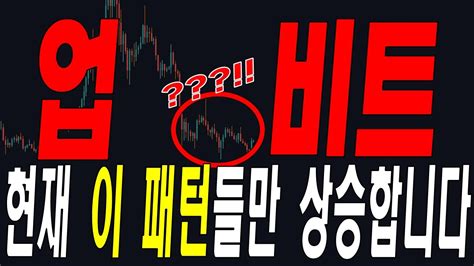 업비트 떡상 알트코인 패턴 비트코인 앞으로 심상치 않은 움직임 포착 Youtube