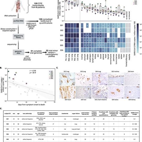 Refined Sequencing Methods And Robust Variant Calling Methodology Download Scientific Diagram