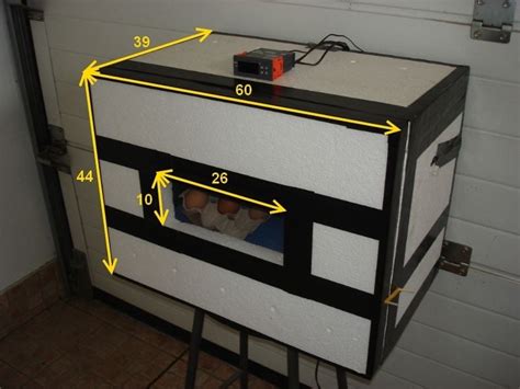 Yet Another Cheap Diy Incubator Backyard Chickens Learn How To